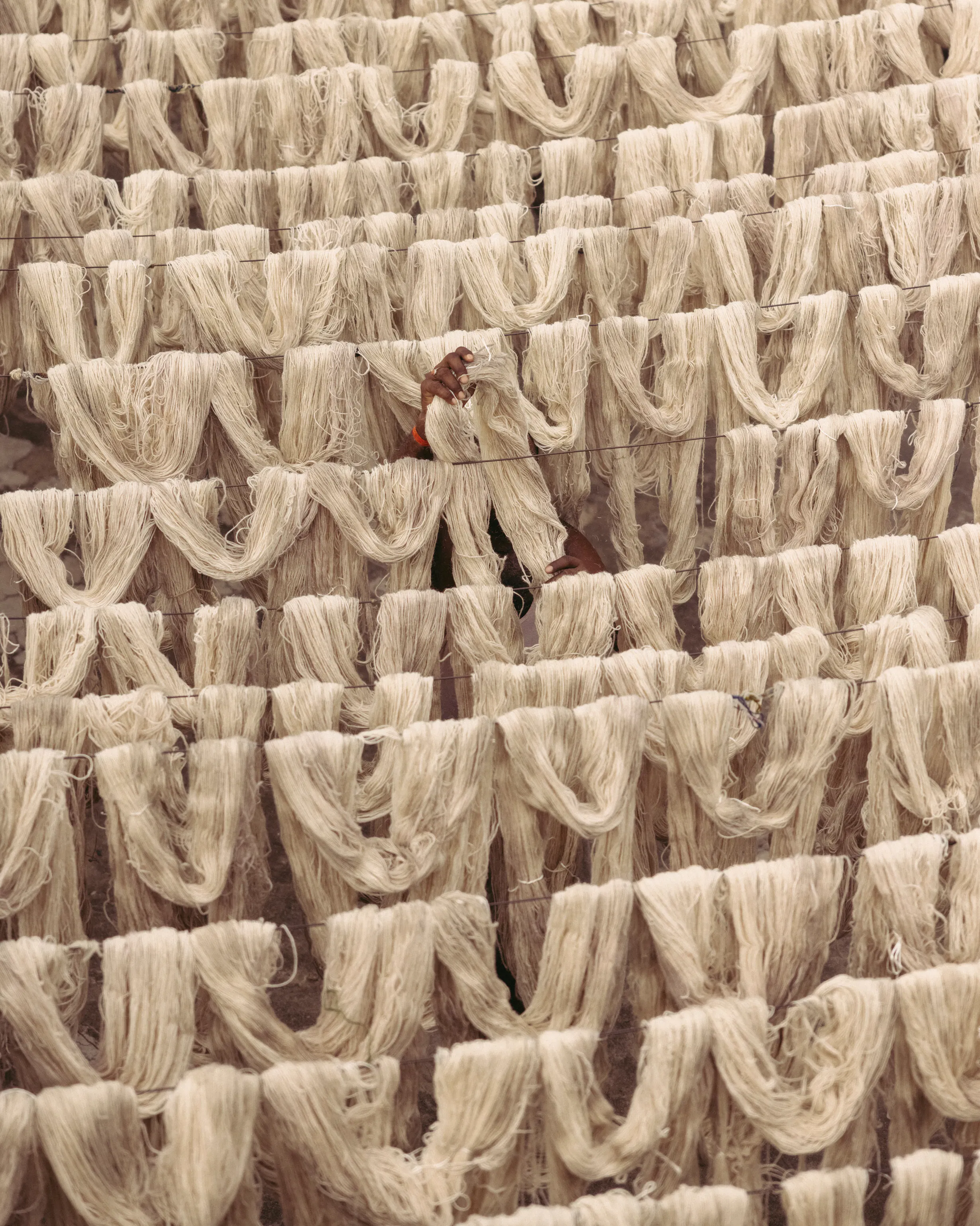 Rug Making in India | Joon Loloi