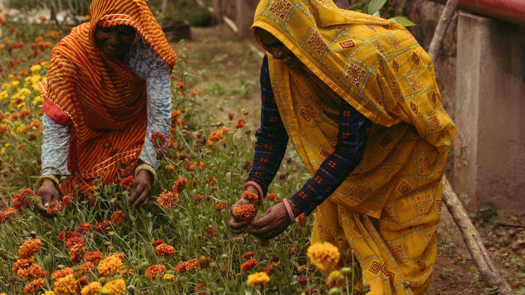 Rug Making in India | Joon Loloi