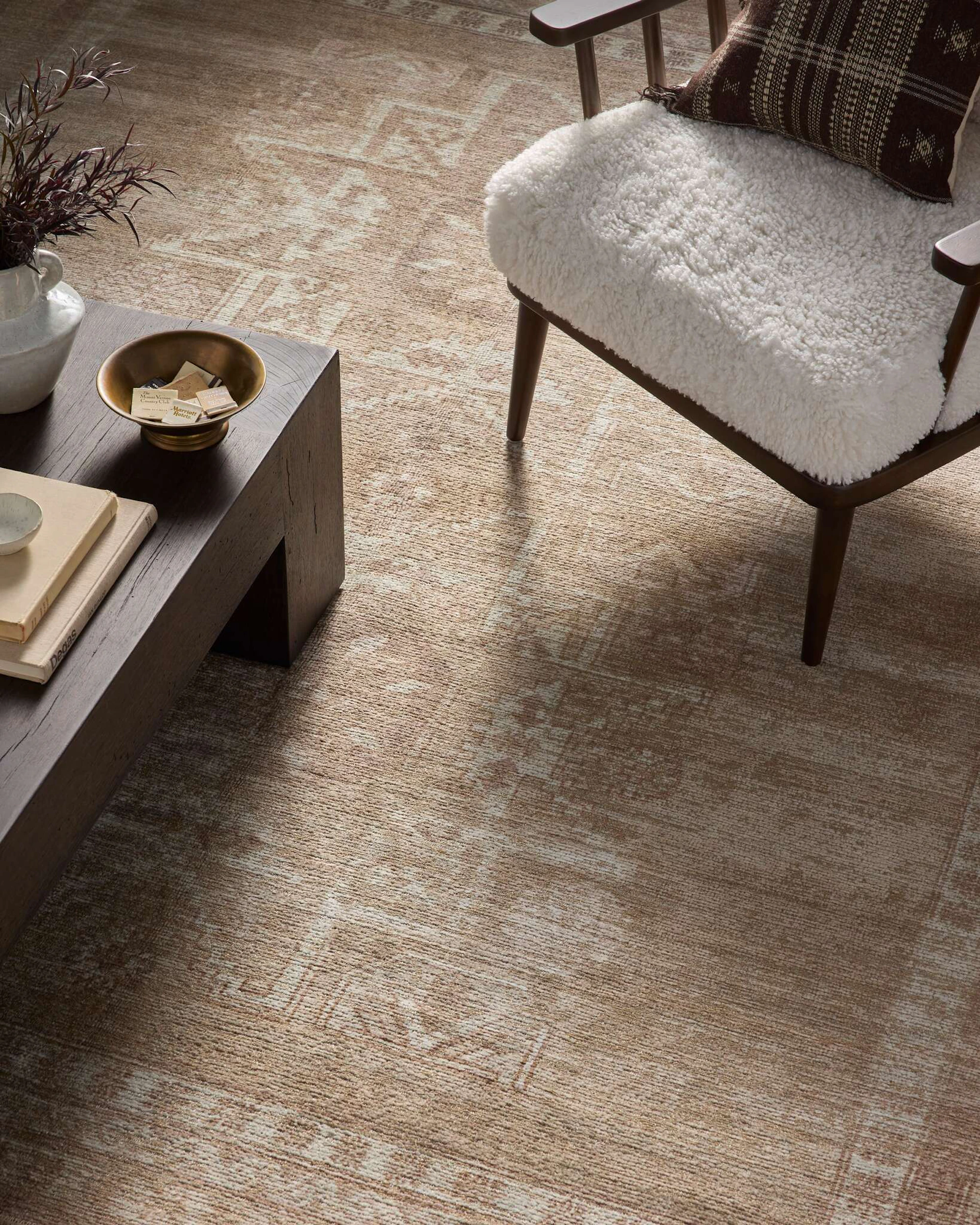 Roana Printed Rug | Joon Loloi